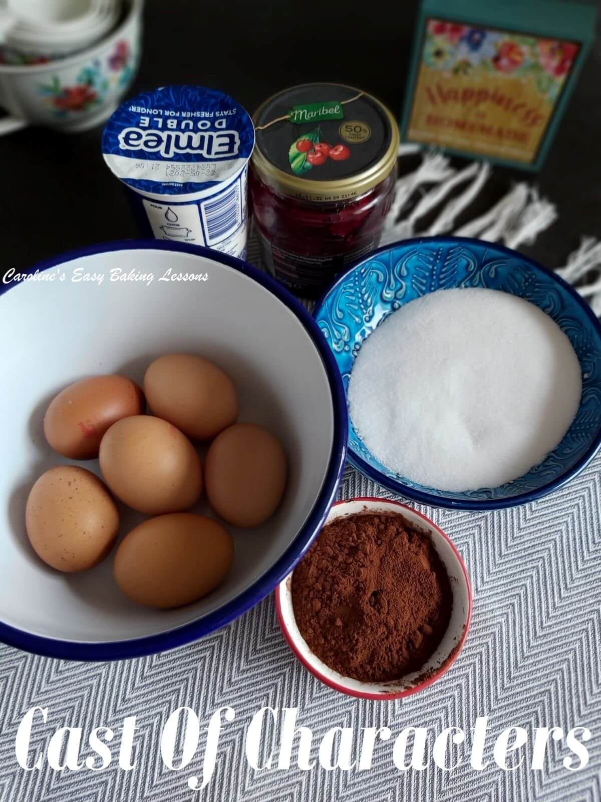 chocolate swiss roll cast of ingredients bb – Caroline's Easy Baking ...