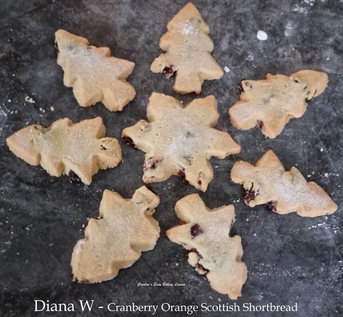diana cranberry xmas shortbread 21 4 label bb – Caroline's Easy Baking ...
