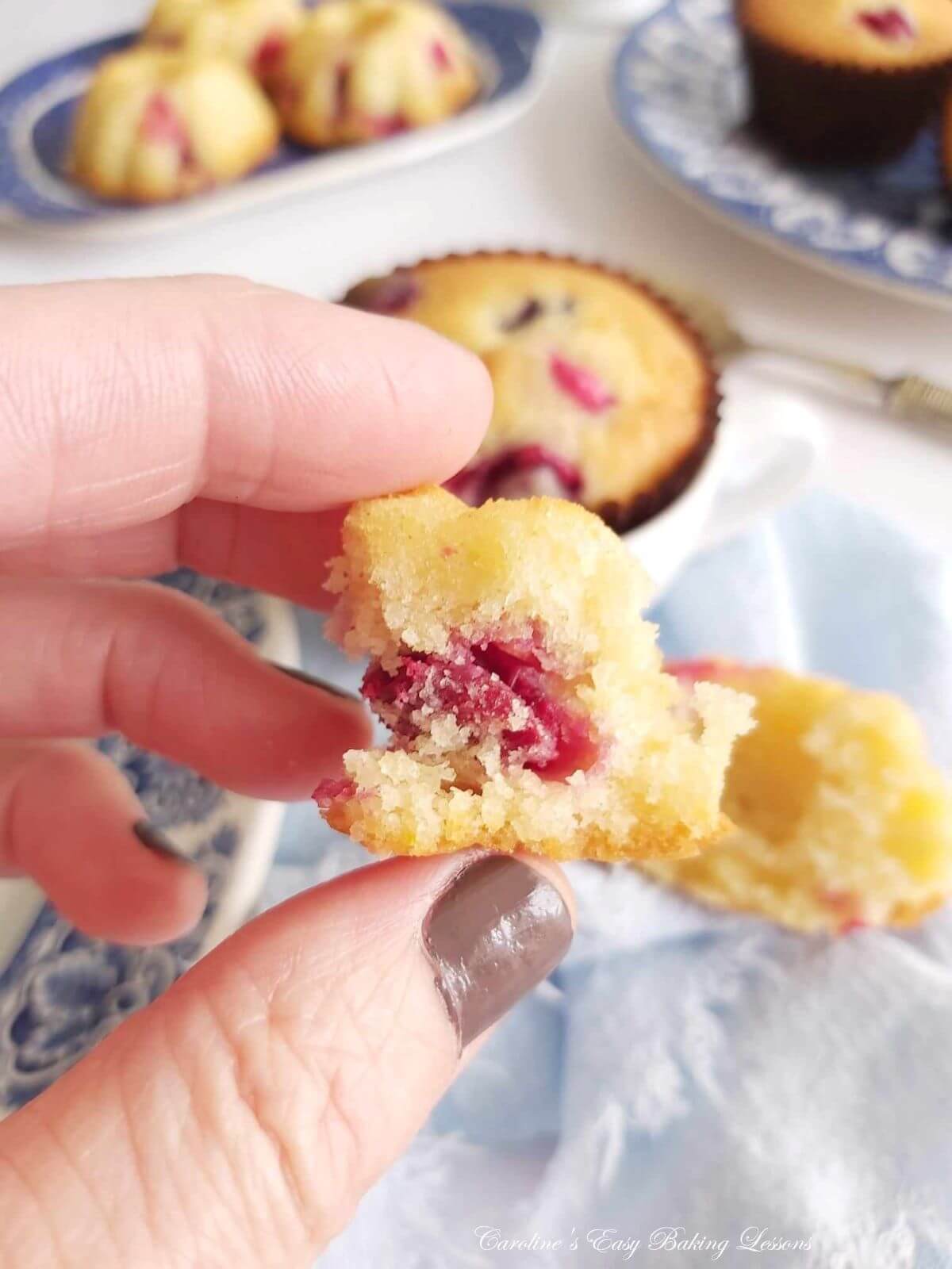 cranberry orange muffins texture extra close bb – Caroline's Easy ...